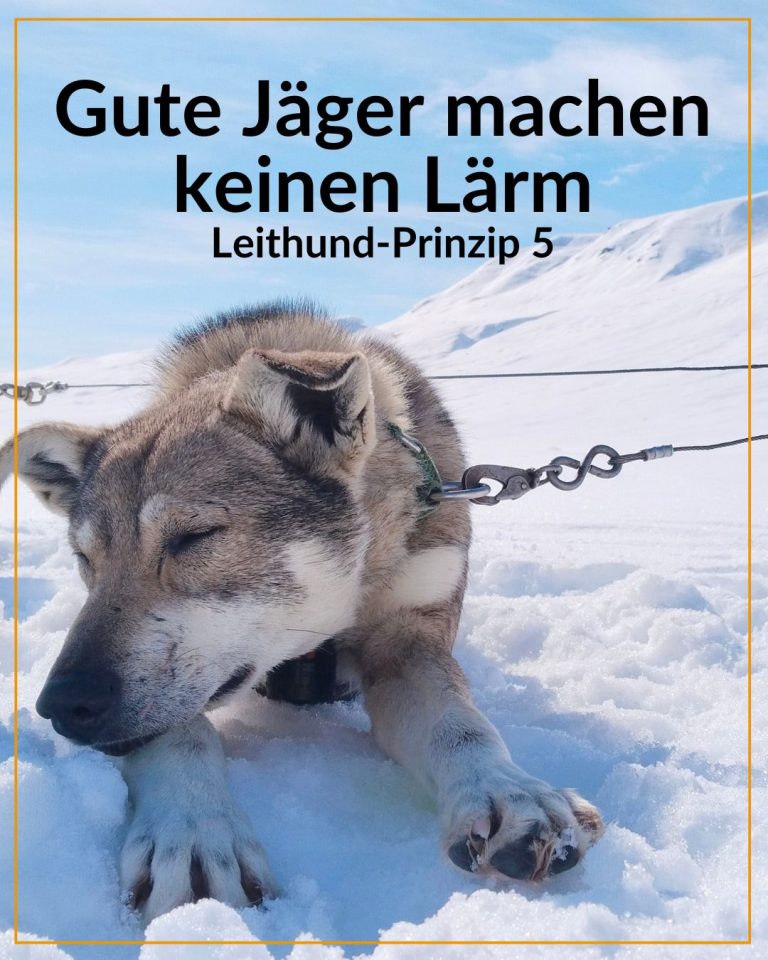 Ruhe überzeugt. Lautstärke täuscht - 3 Fragen, ob ein ruhiger Sales-Typ ...